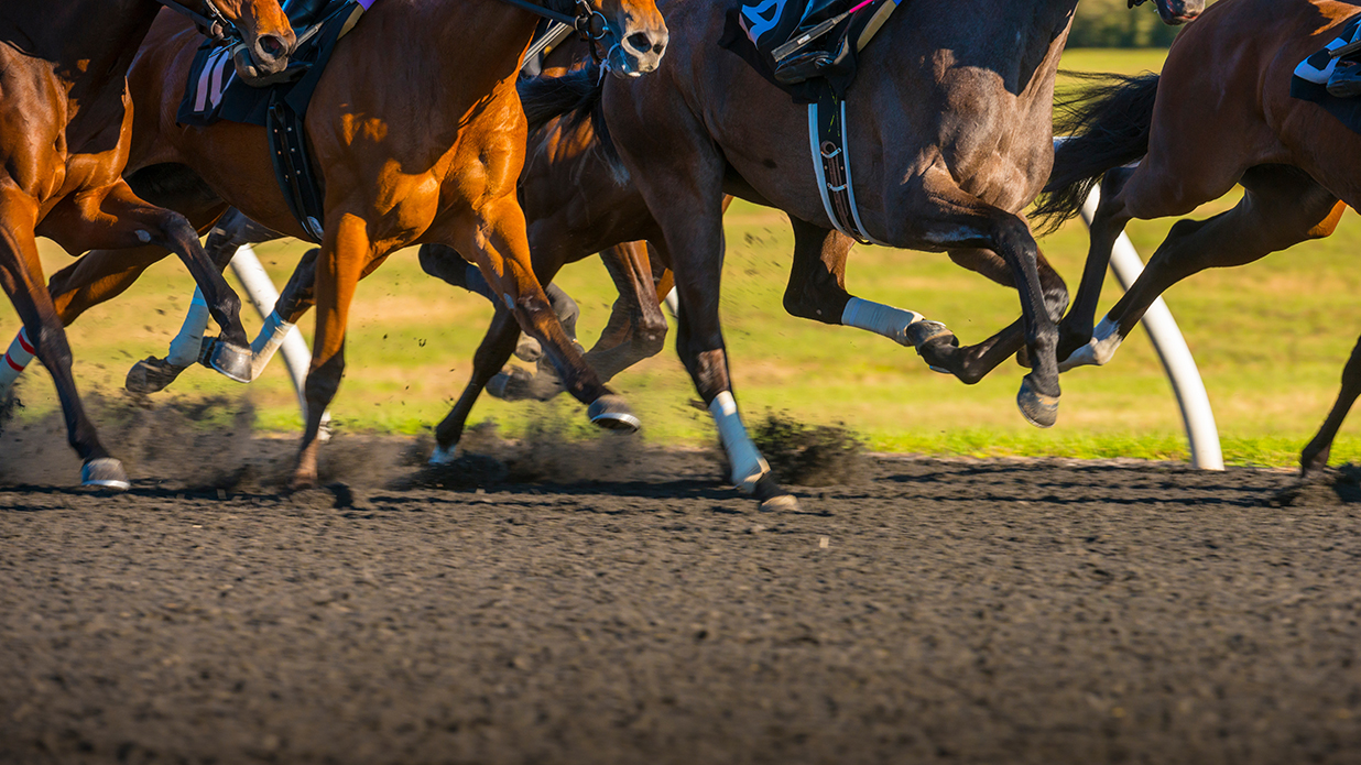 Permits & Licences - Saskatchewan Liquor and Gaming Authority (SLGA)